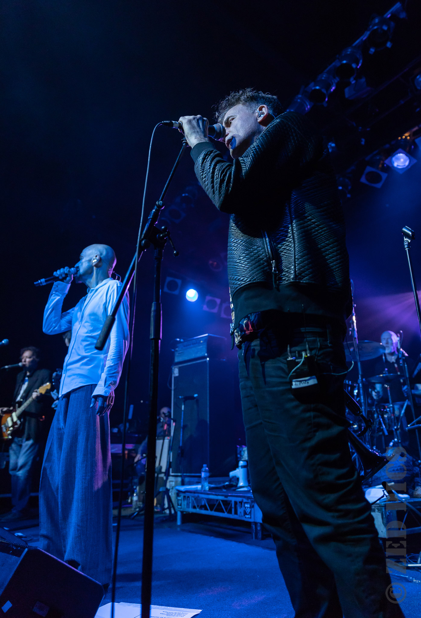 Concert Review: James, Auckland New Zealand, 2018