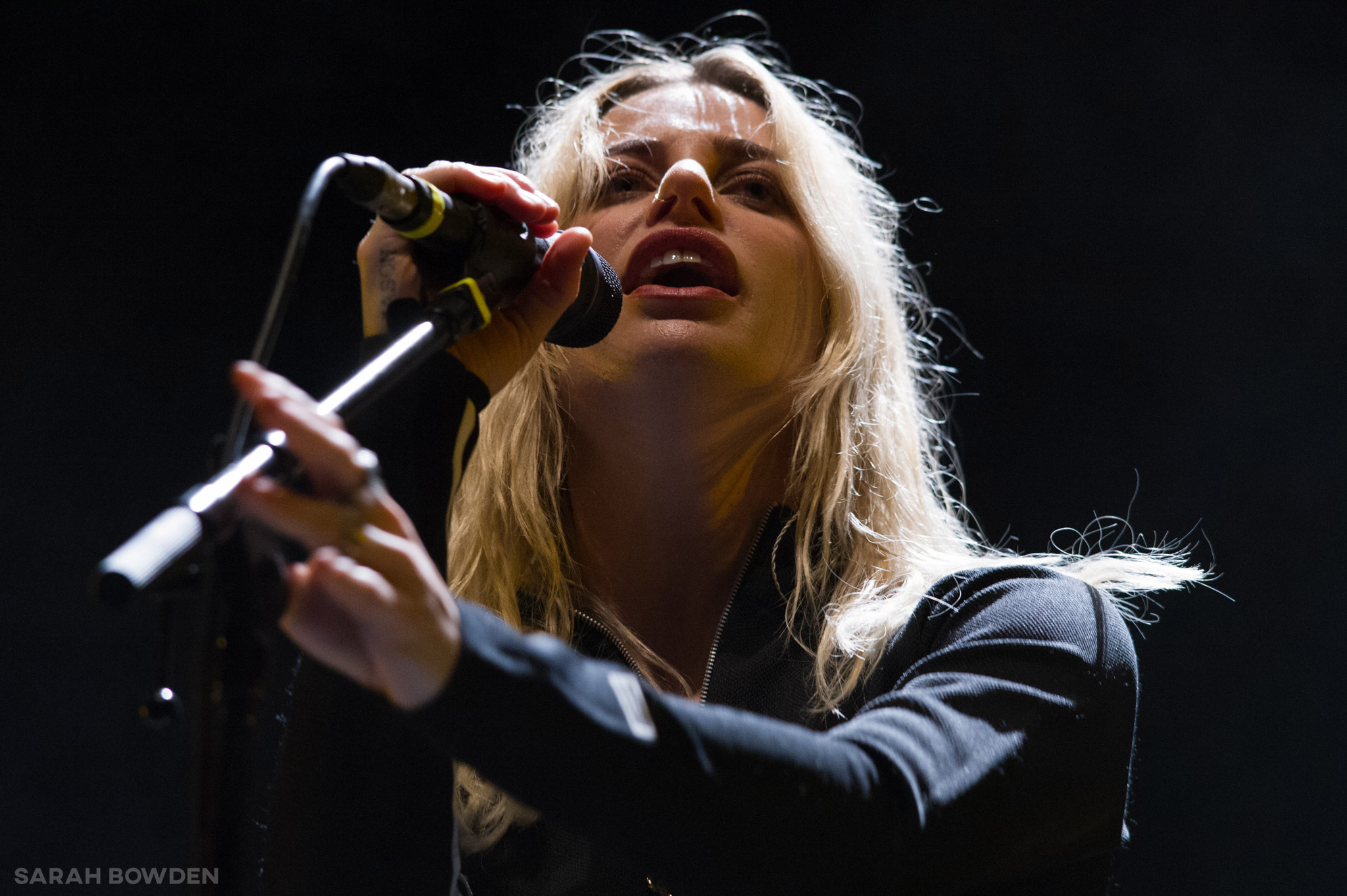 Photo Gallery: Gin Wigmore, Dunedin New Zealand, 2019